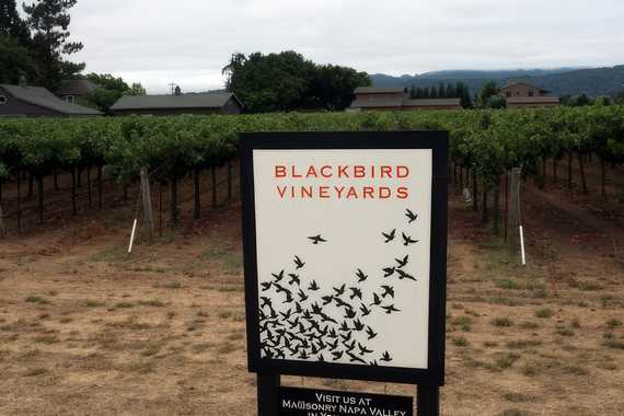 Blackbird Vineyards | Swell City Guide